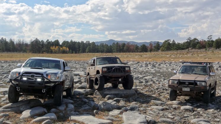 4 Reasons Why You Need a Bull Bar for Safety - Overlanding and Offroad ...