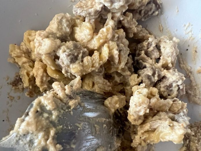 Peak Refuel Beef Stroganoff Review