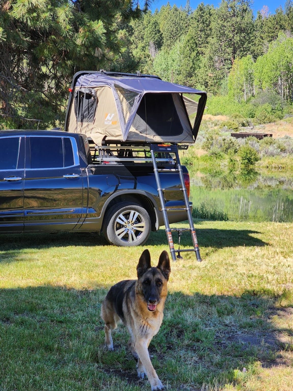 Is a Modular Truck Bed Rack Worth the Investment?