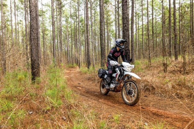 Honda XR150L Review - Features, Performance, and Practicality | 4wd talk