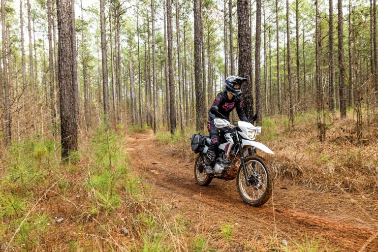 Honda XR150L Review - Features, Performance, and Practicality | 4wd talk